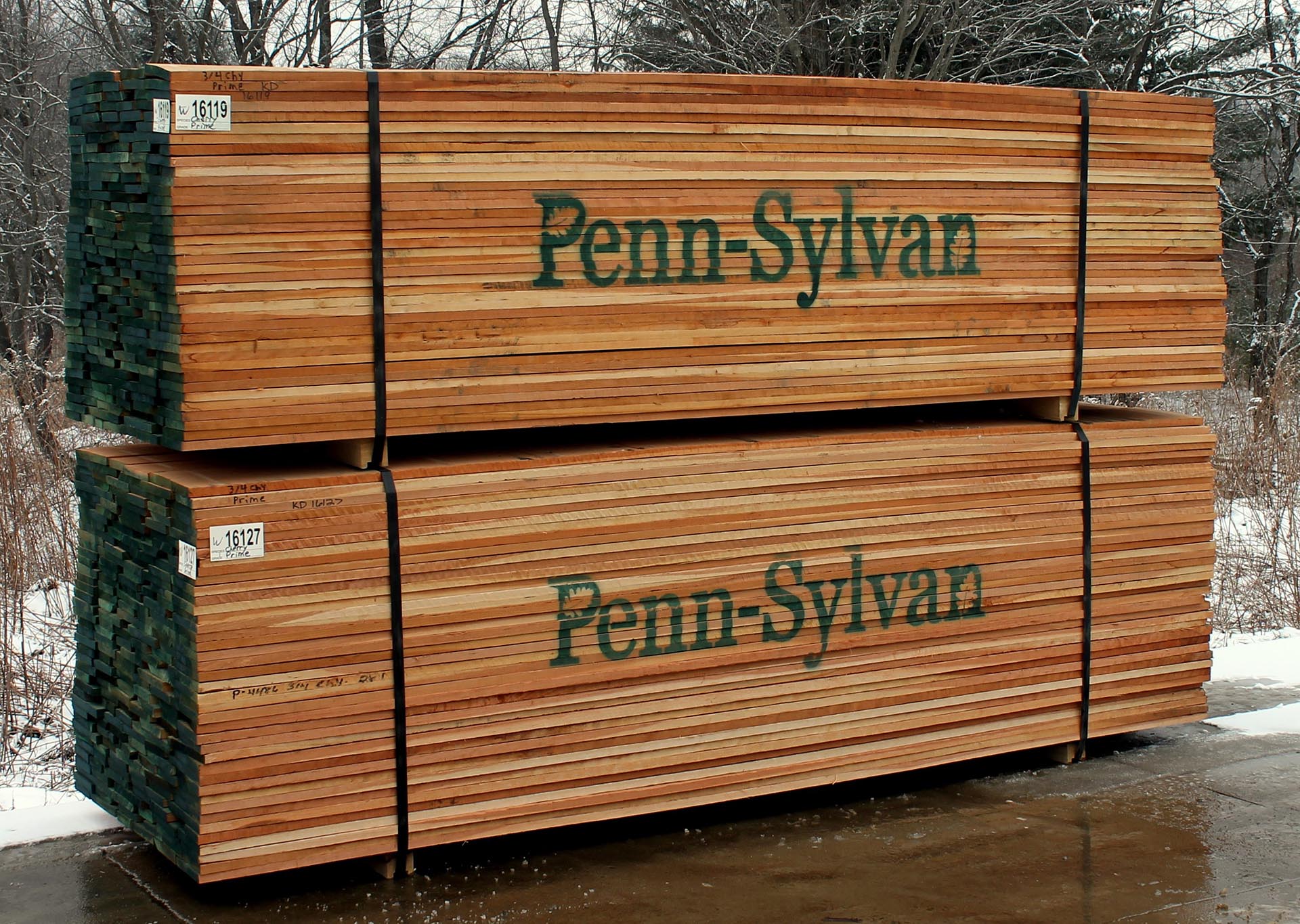 Penn-Sylvan is Buying Standing Timber in PA & NY
